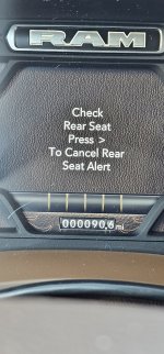 Any idea what this is? Check back seat? | Ram Heavy Duty Forum